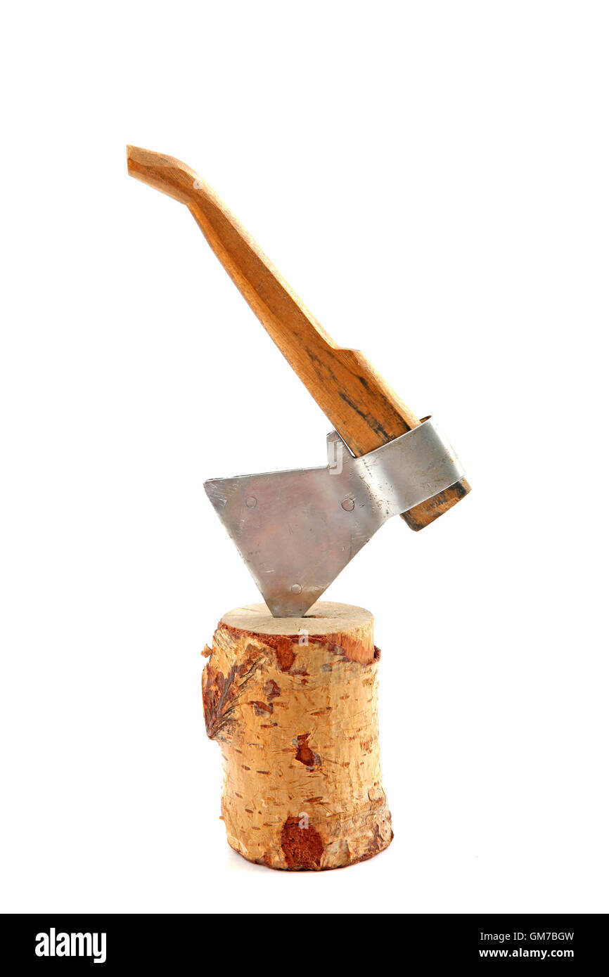 Old tree stump in Cut Out Stock Images & Pictures - Alamy