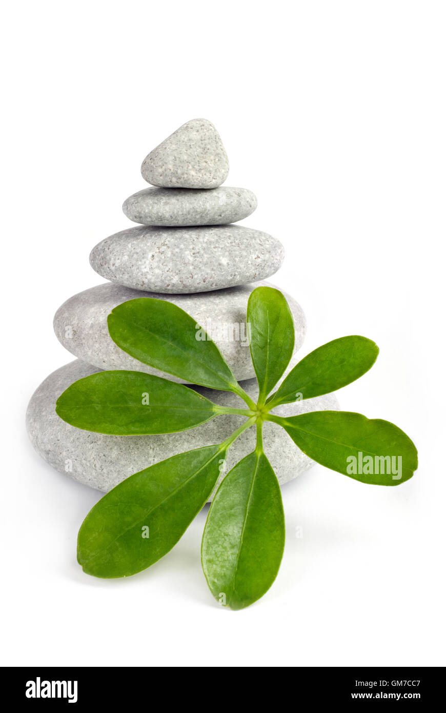 Stones and tree on a white background Stock Photo - Alamy