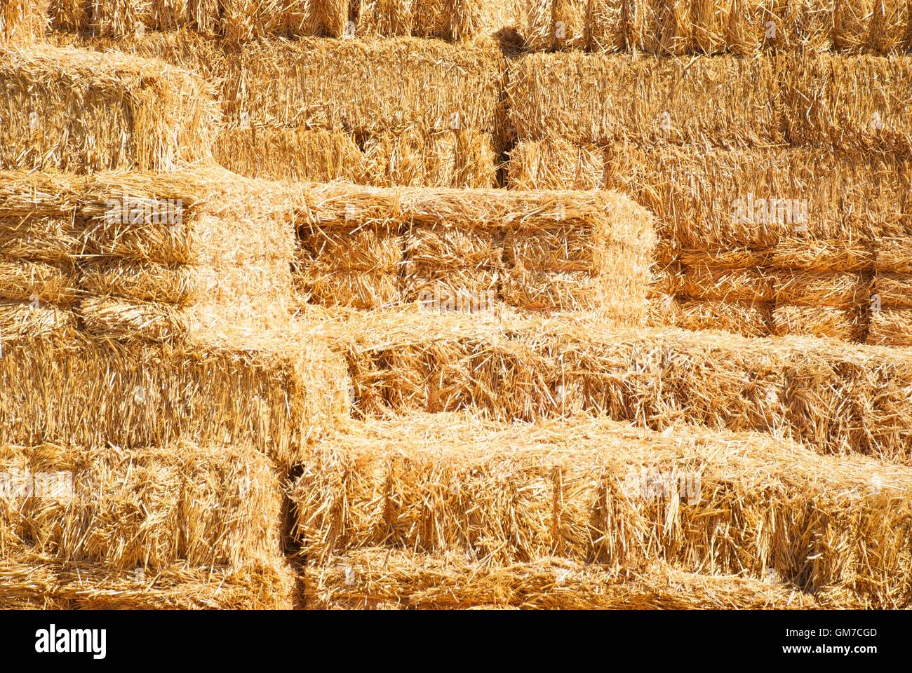 Horizontal Stack of Hay Bailes Stock Photo - Alamy