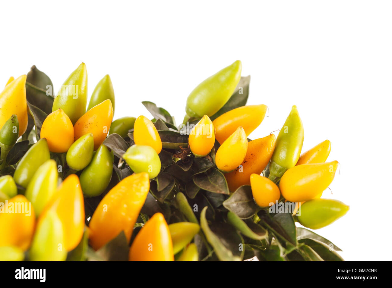 small yellow peppers Stock Photo - Alamy