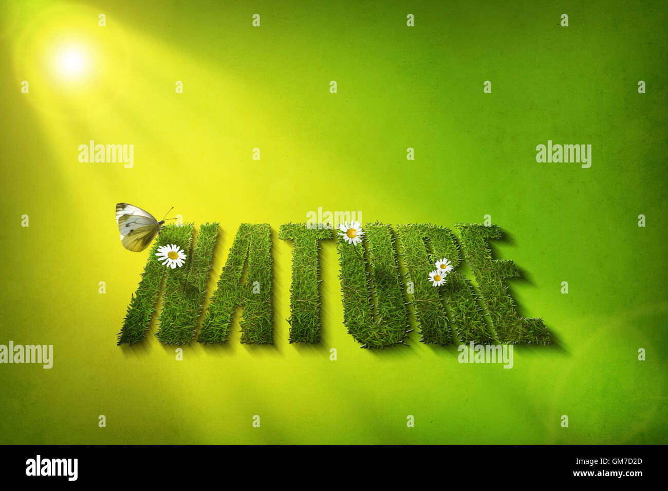 Botanical font hi-res stock photography and images - Alamy