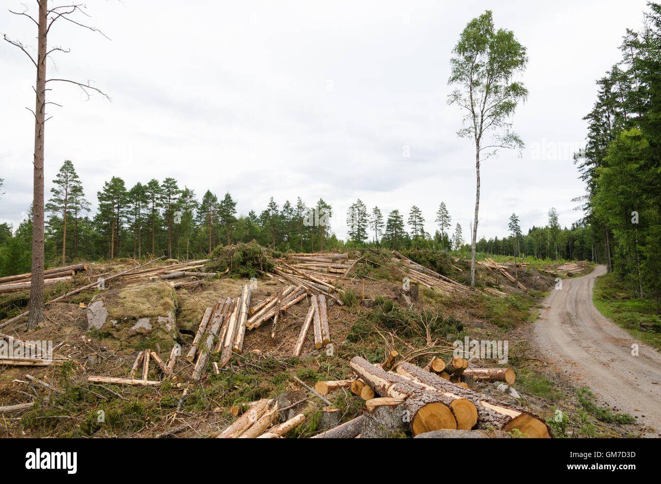 Renewable Resources Stock Photos & Renewable Resources Stock Images - Alamy