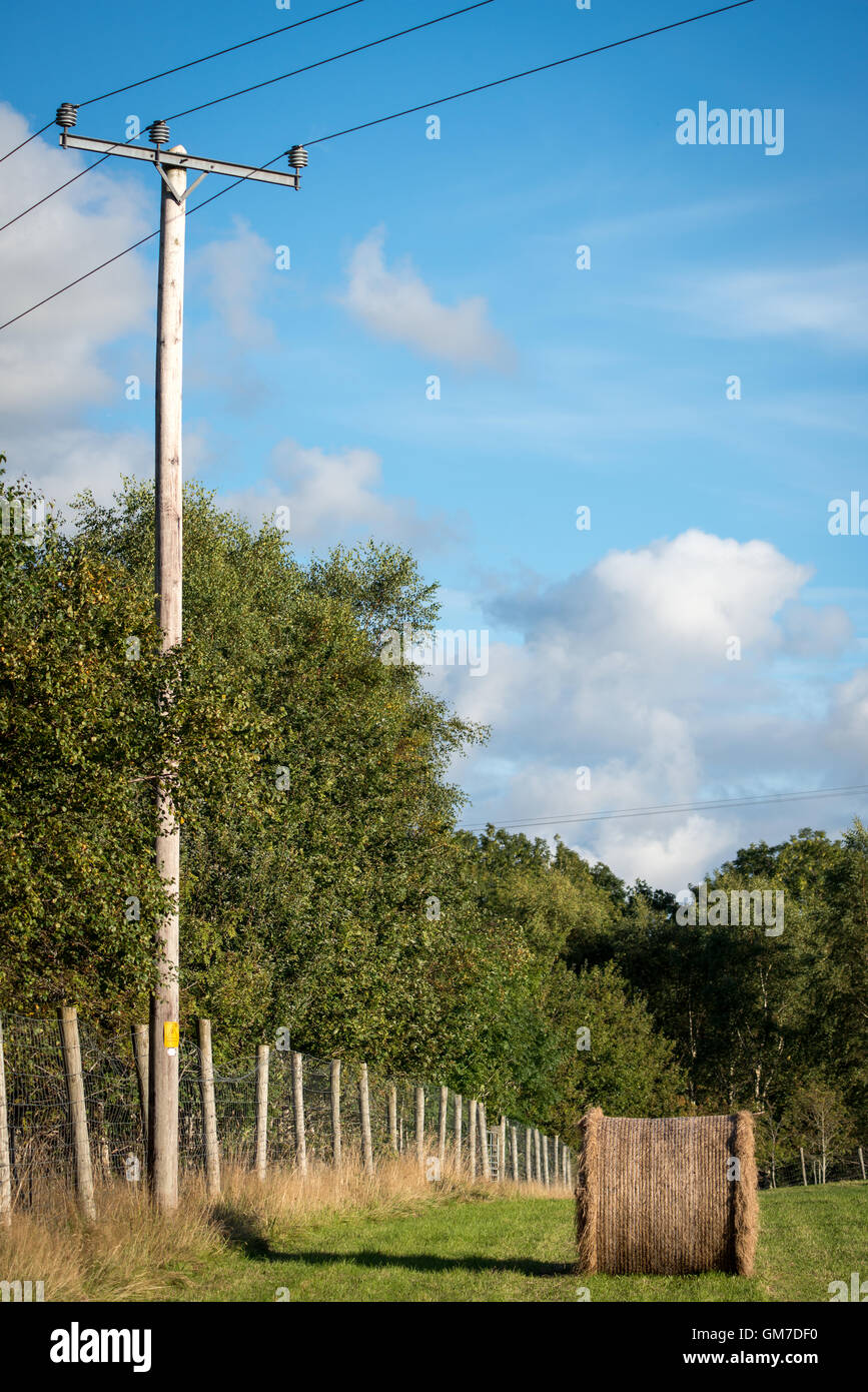 Irish countryside, Killarney National Park, County Kerry, Ireland Stock ...