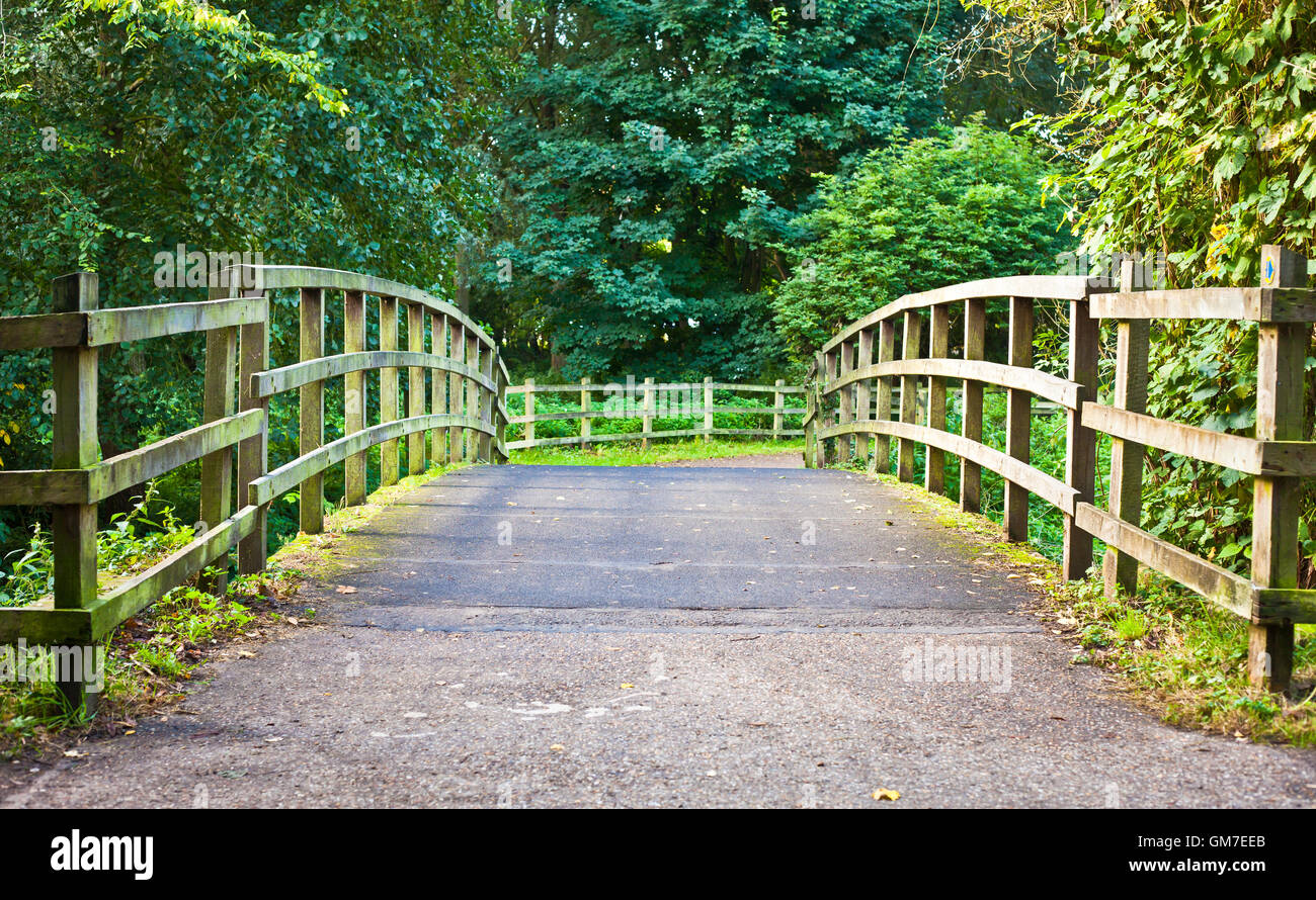 Wooden track through marsh hi-res stock photography and images - Alamy