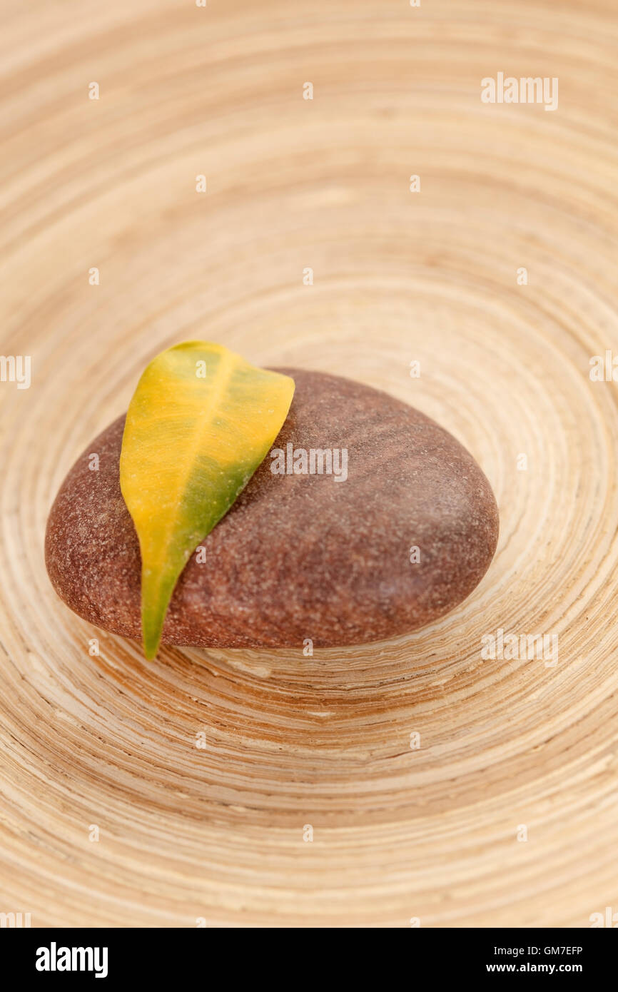 yellow leaf on the stone Stock Photo - Alamy