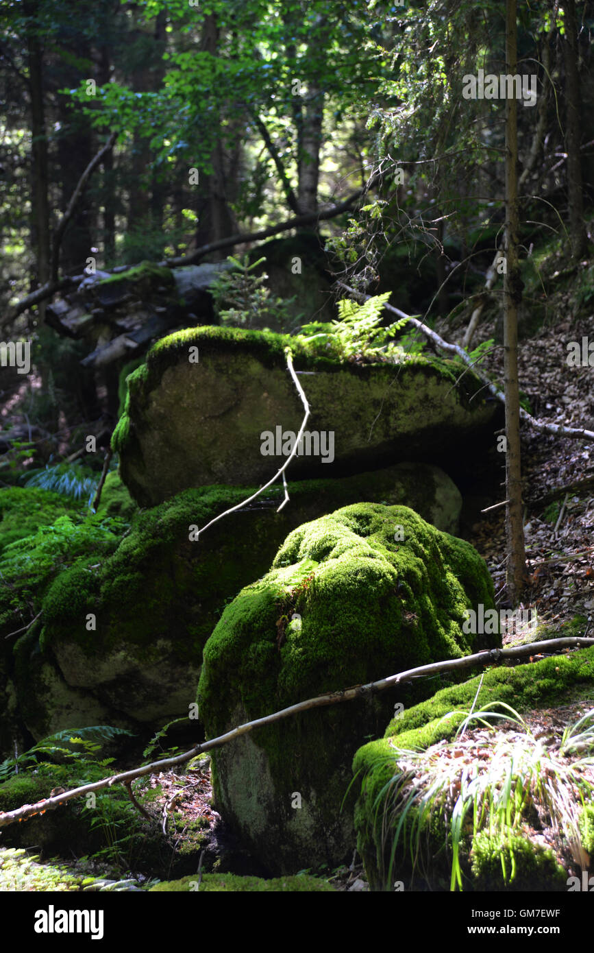 Old rocks on slope hi-res stock photography and images - Alamy