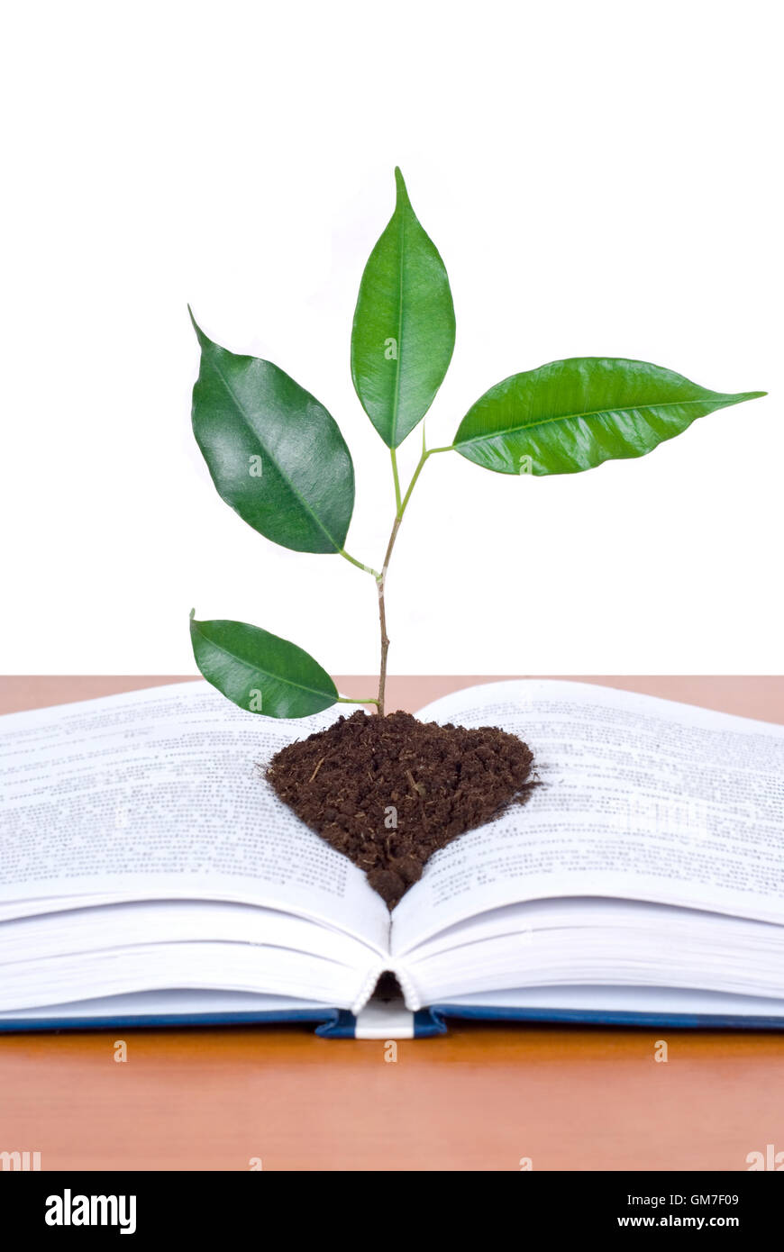 Book and tree isolated on white background Stock Photo - Alamy