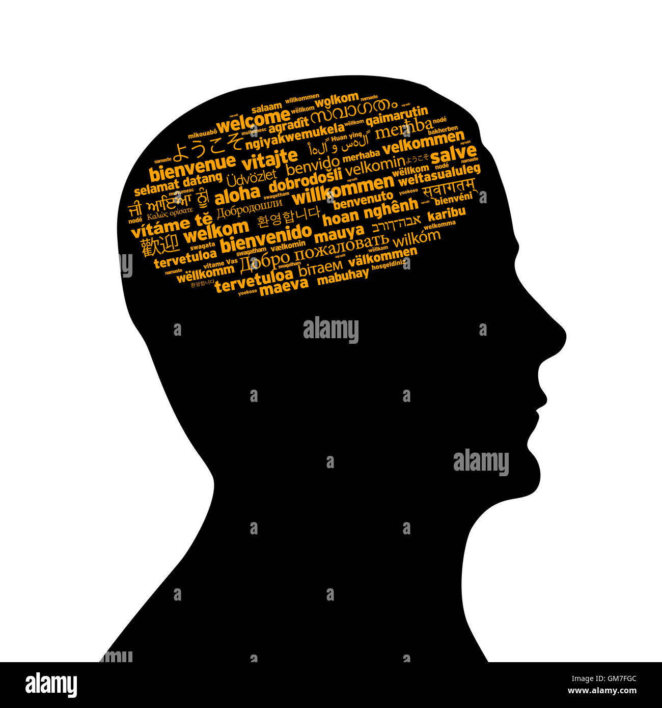 Silhouette head - Welcome in Different languages Stock Photo - Alamy