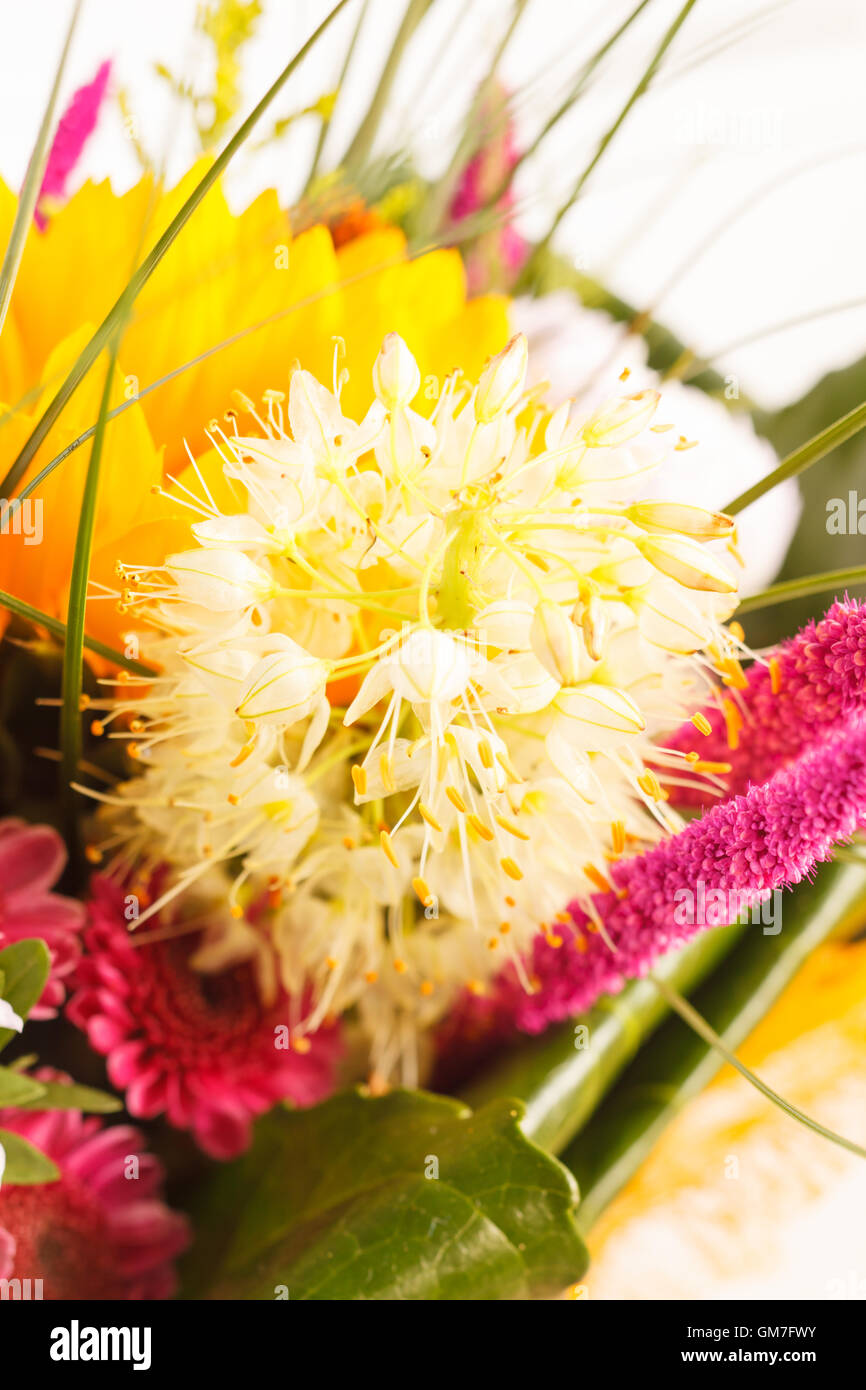 bouquet of colorful flowers Stock Photo - Alamy