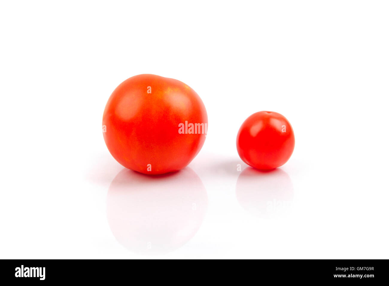 two tomato isolated Stock Photo - Alamy