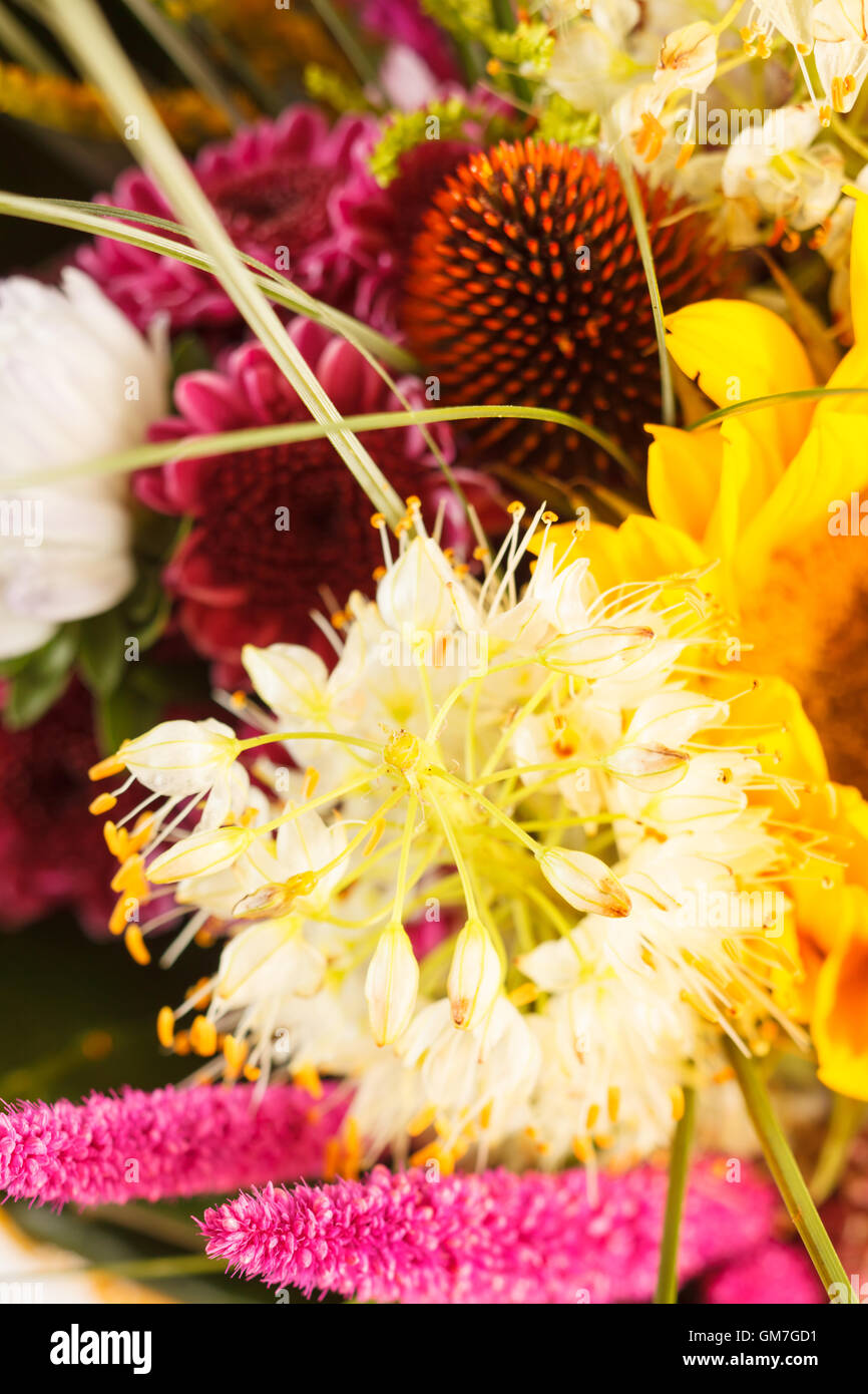 bouquet of colorful flowers Stock Photo - Alamy