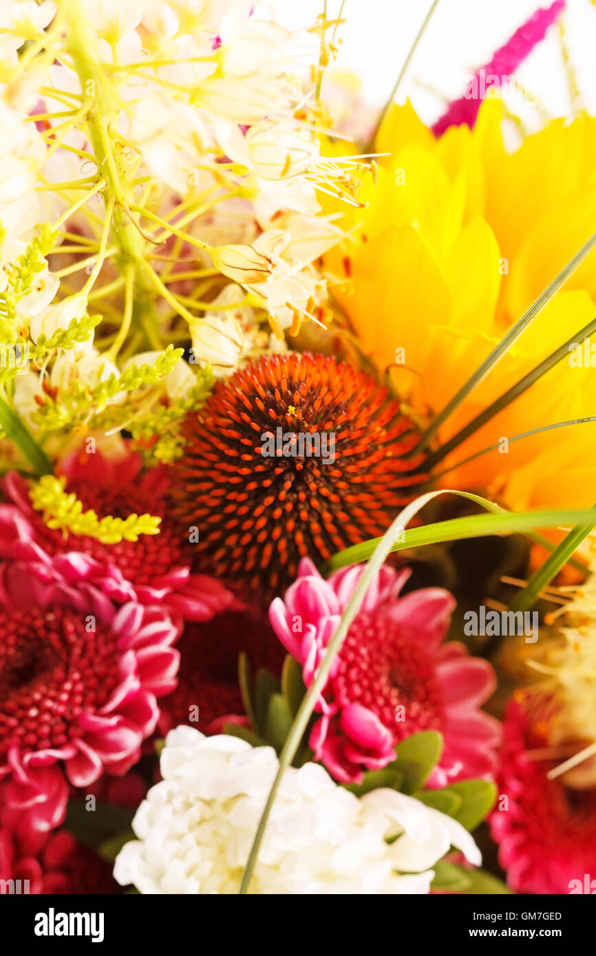 bouquet of colorful flowers Stock Photo - Alamy