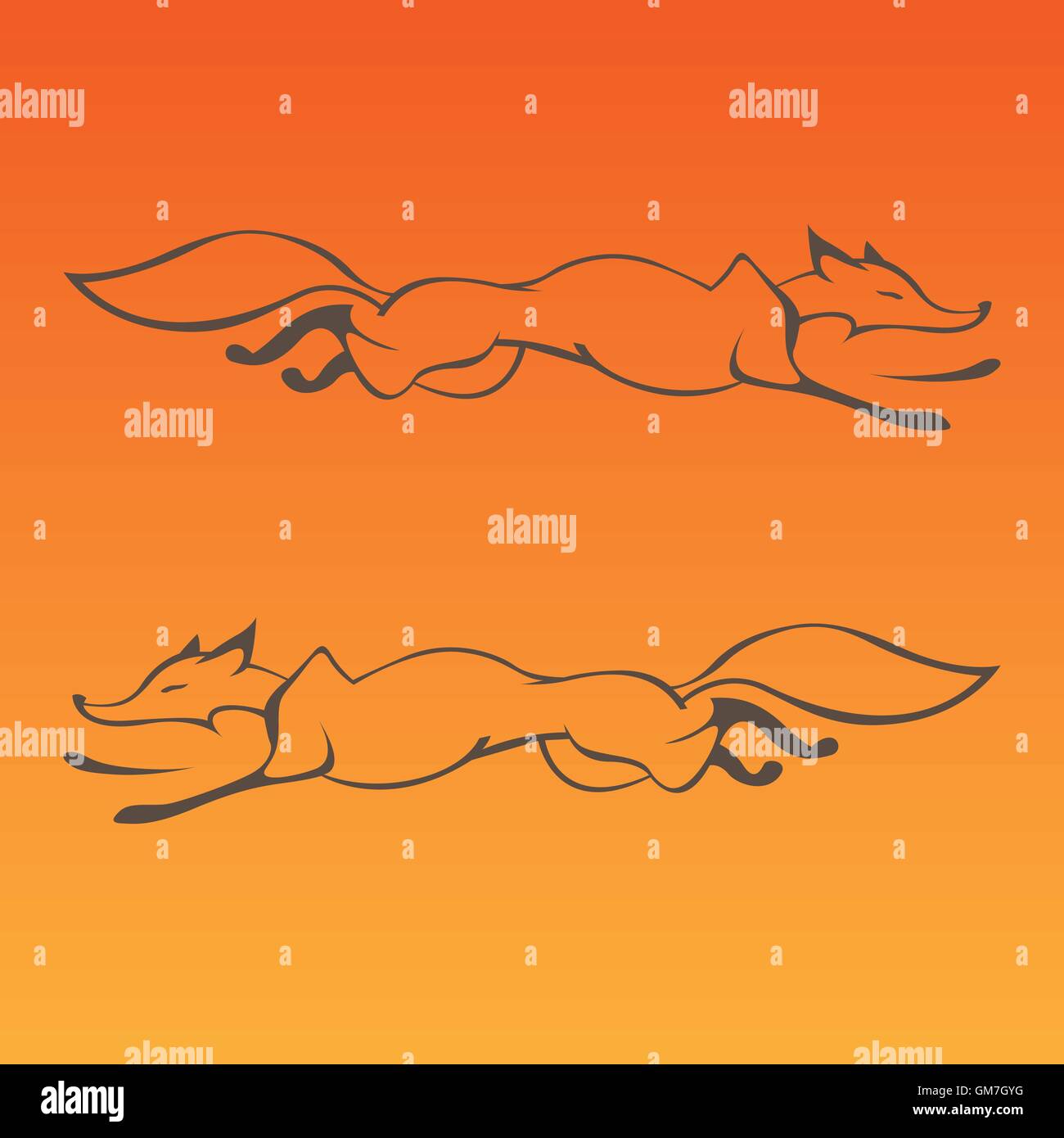 Fox sign in curve lines Stock Vector Image & Art - Alamy