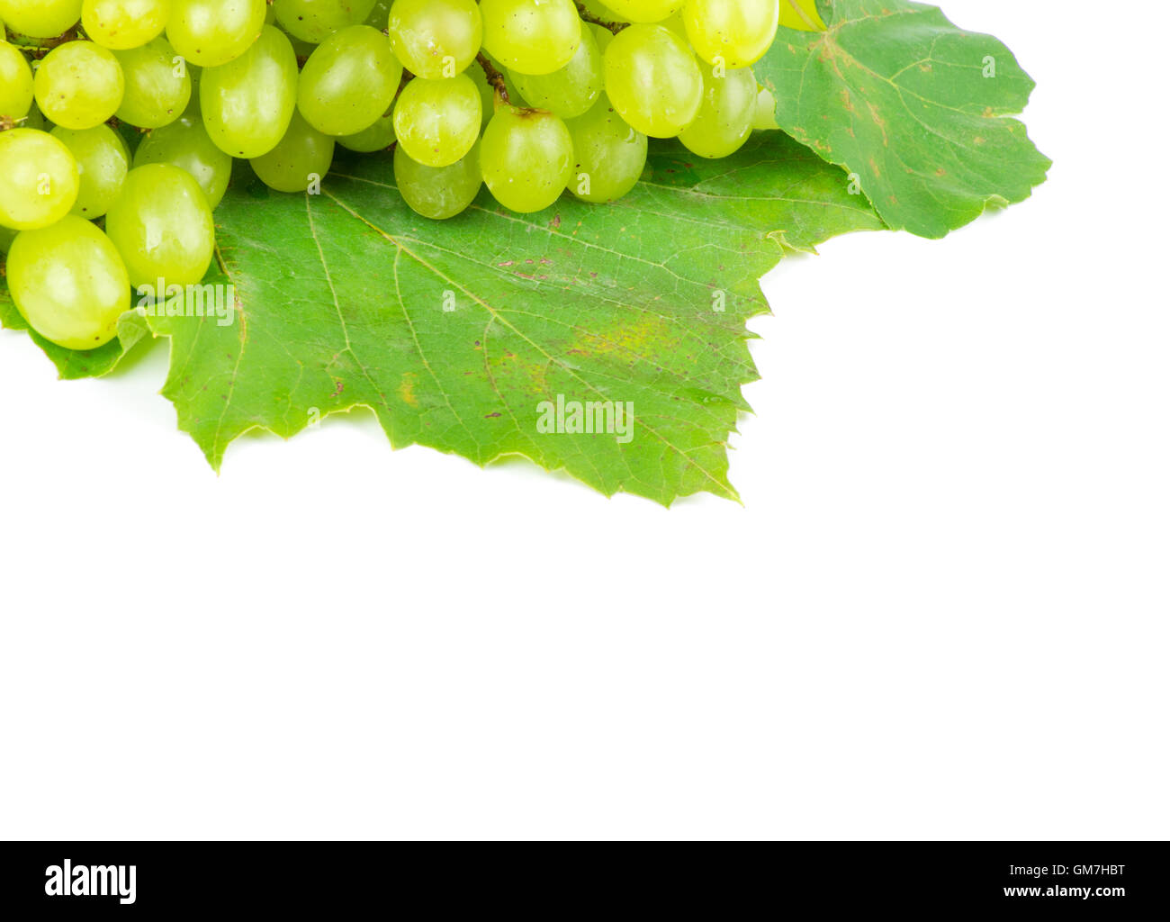 Single grape cluster hi-res stock photography and images - Alamy