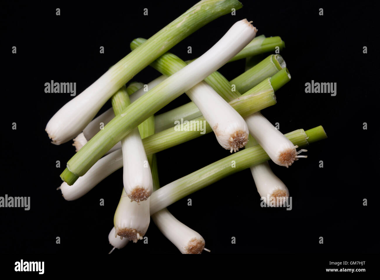 Welsh leek cutout hi-res stock photography and images - Alamy
