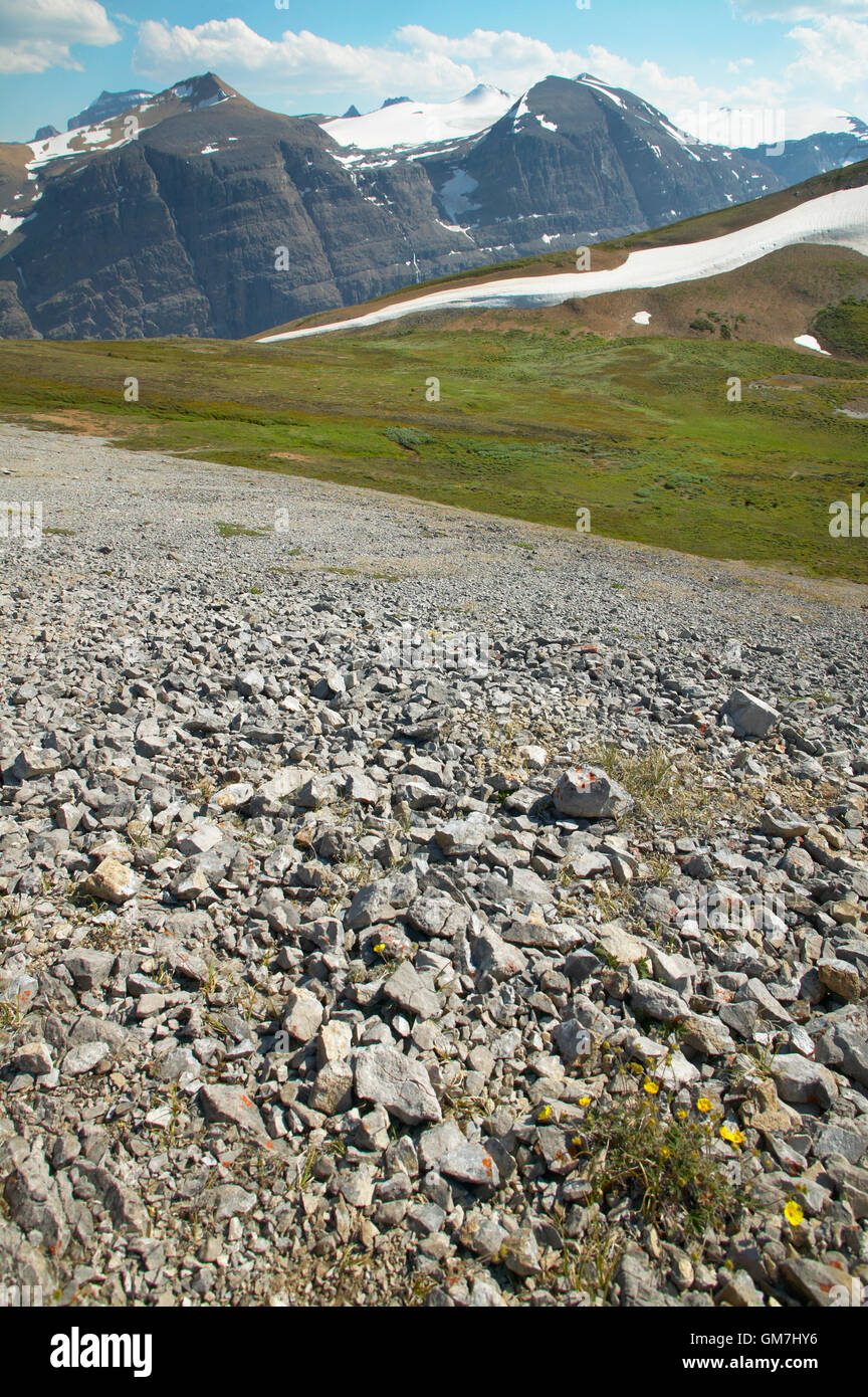 Canadian landscape with glacier. Icefields parkway. Alberta. Canada ...