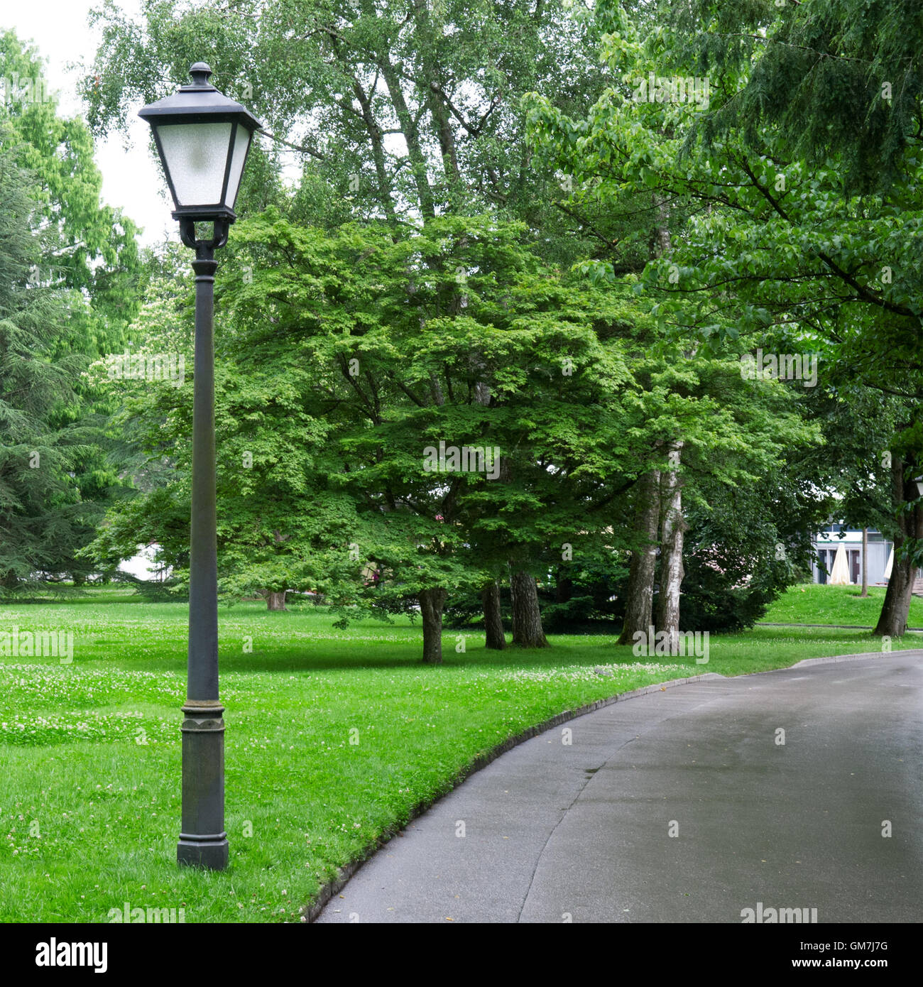 Park avenue tree lighting hi-res stock photography and images - Alamy