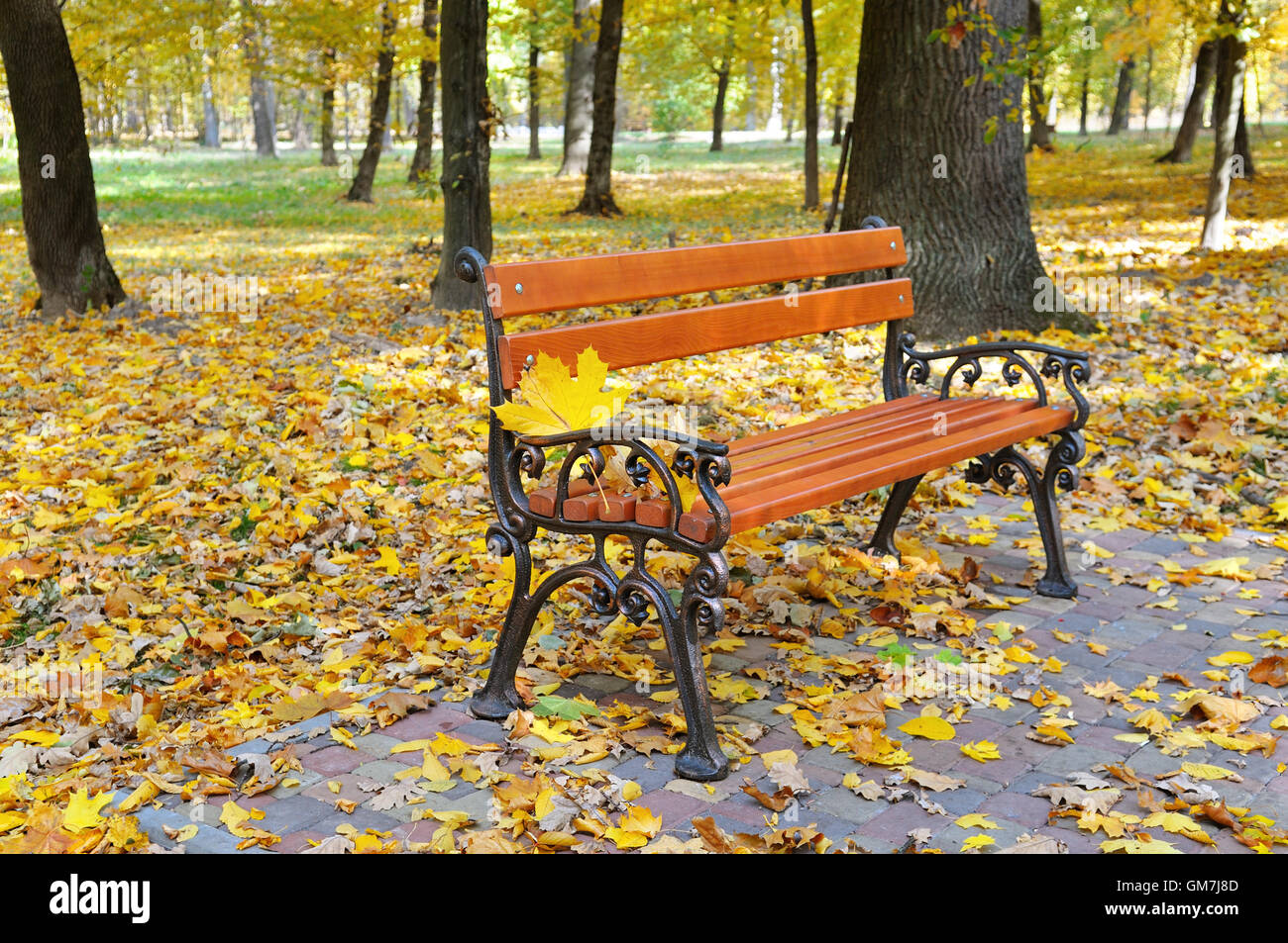beautiful autumn park with paths and benches Stock Photo - Alamy