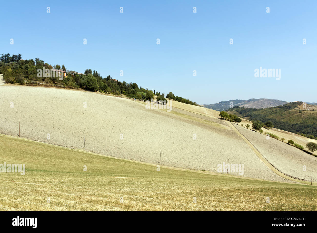 Landscape a rural field Stock Photo - Alamy
