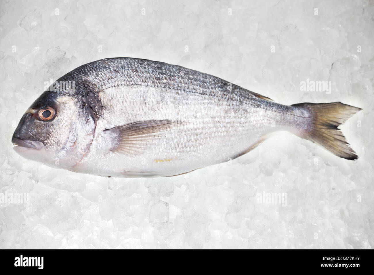 raw bream on crushed ice Stock Photo - Alamy