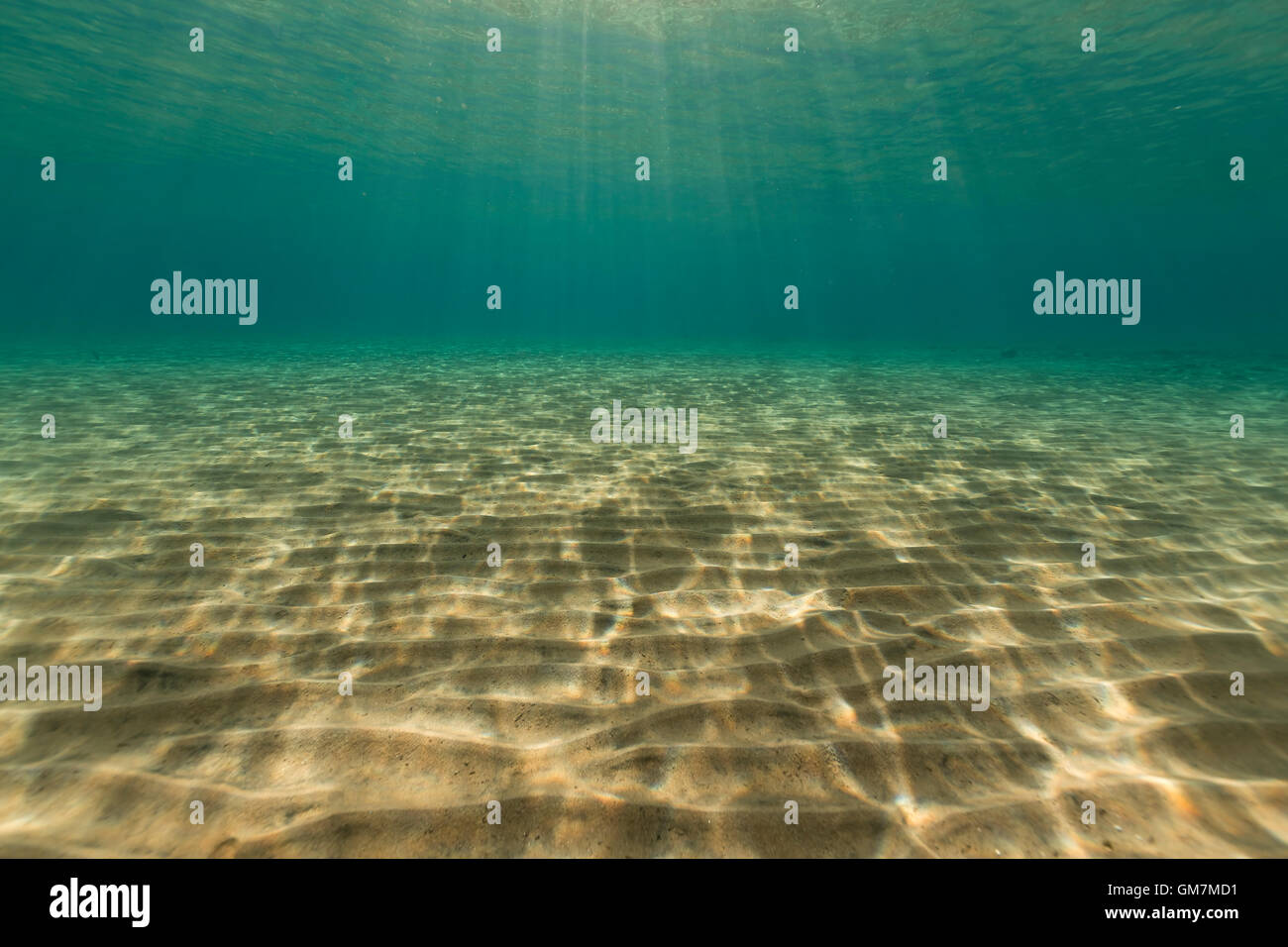 Tropical waters in the Red Sea Stock Photo - Alamy