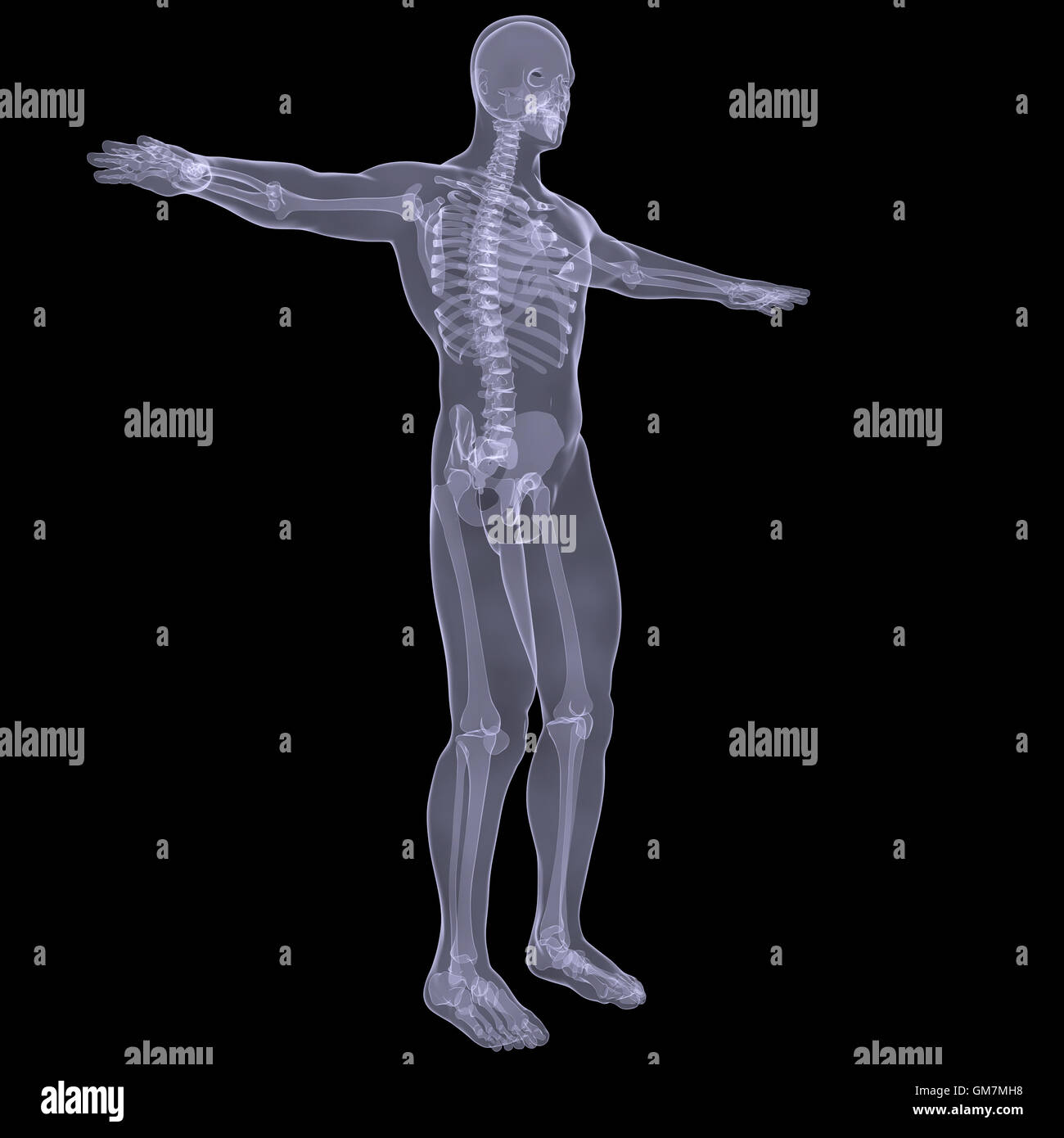X-ray of man Stock Photo - Alamy