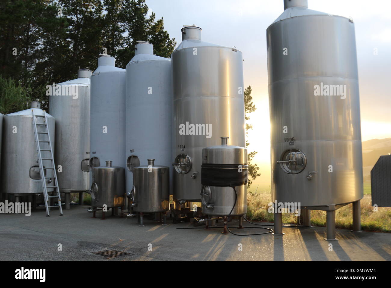 WIne tanks at the winery of Escarpment VIneyard, Martinborough, New ...