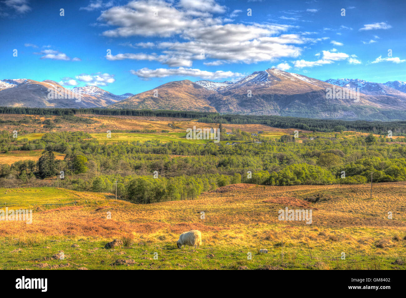 Scottish countryside and snowy mountains Ben Nevis Scotland UK with ...