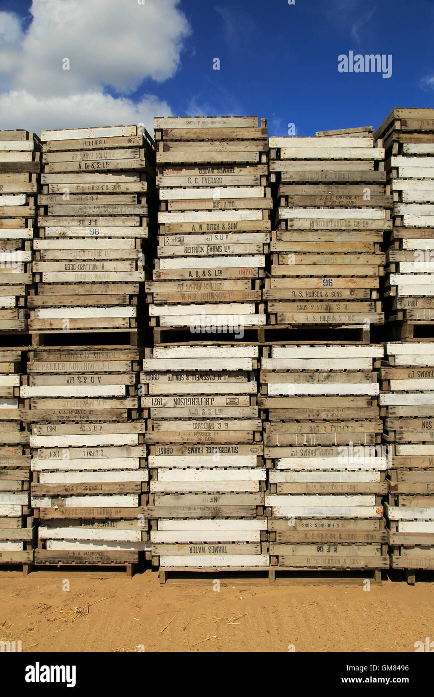 Stacked up stack trays used for potato seedlings, Boyton Hall Farm ...
