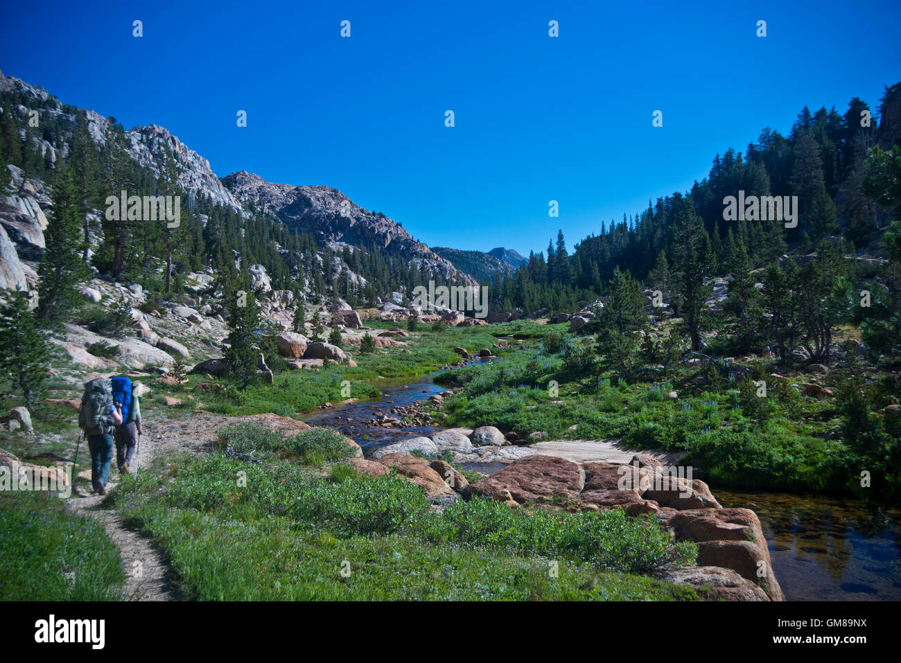 Meadow loop trail hi-res stock photography and images - Alamy