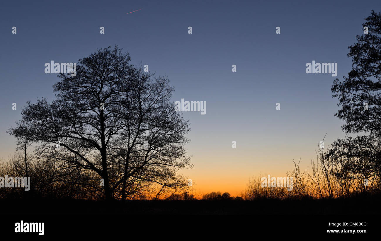 Ham wall nature reserve hi-res stock photography and images - Alamy