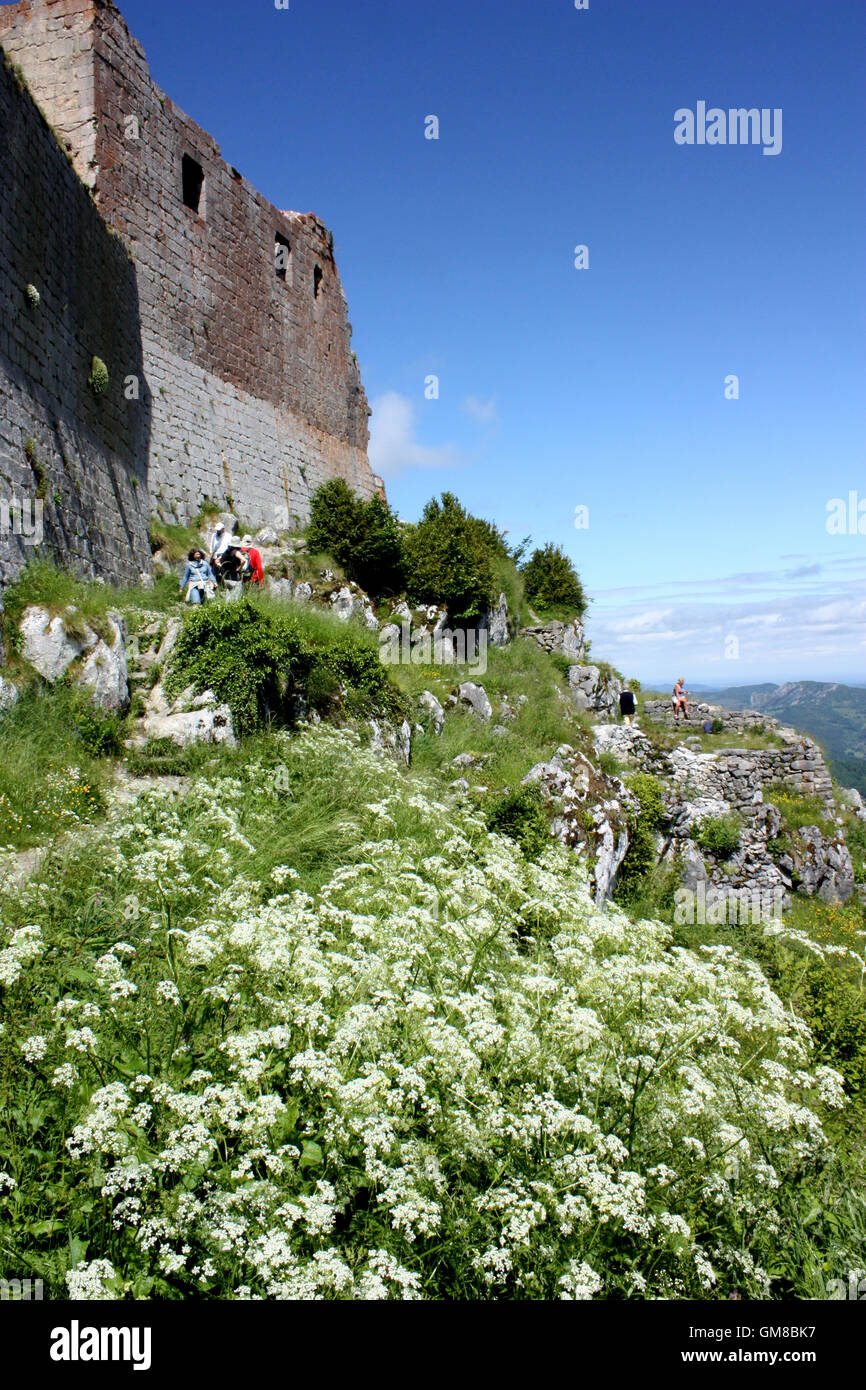Part of the Castle of Montsegur known as The Pog, France Stock Photo ...