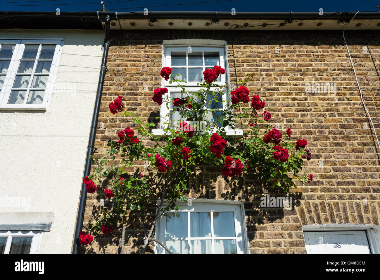 Little chelsea barnes hi-res stock photography and images - Alamy