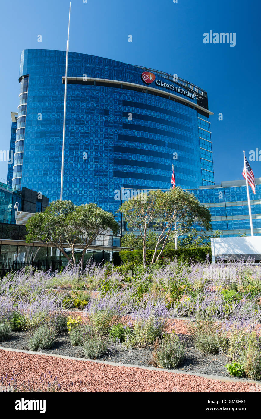 Gsk headquarters hi-res stock photography and images - Alamy