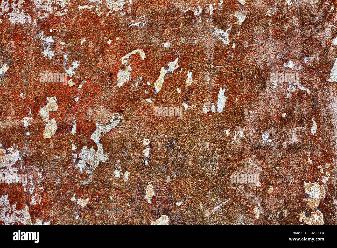 Spotted texture hi-res stock photography and images - Alamy
