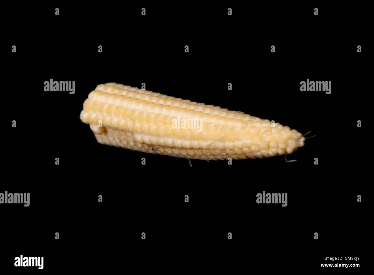 Babycorn hi-res stock photography and images - Alamy