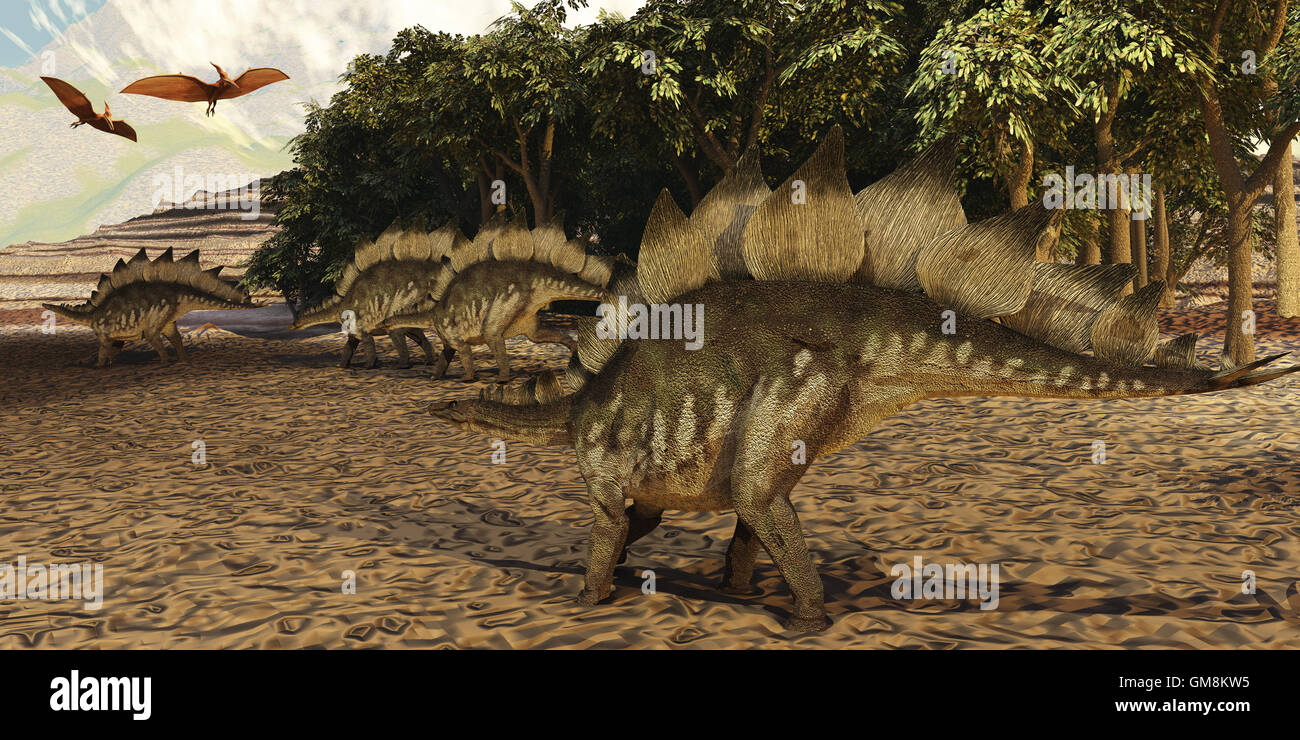 Stegosaurus hi-res stock photography and images - Alamy