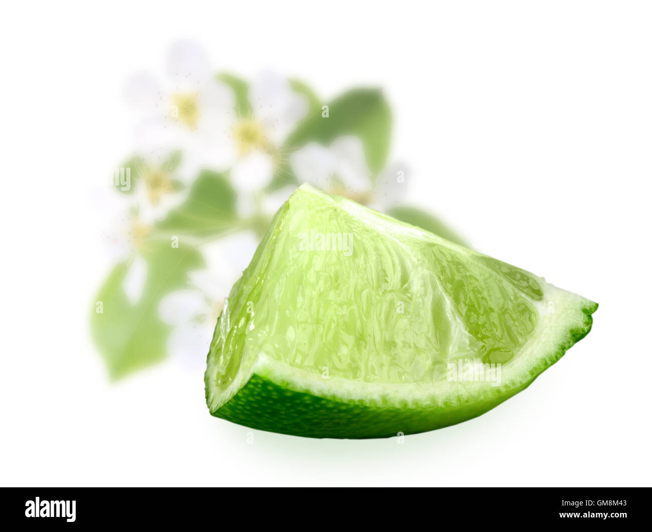 Part of fresh lime Stock Photo - Alamy