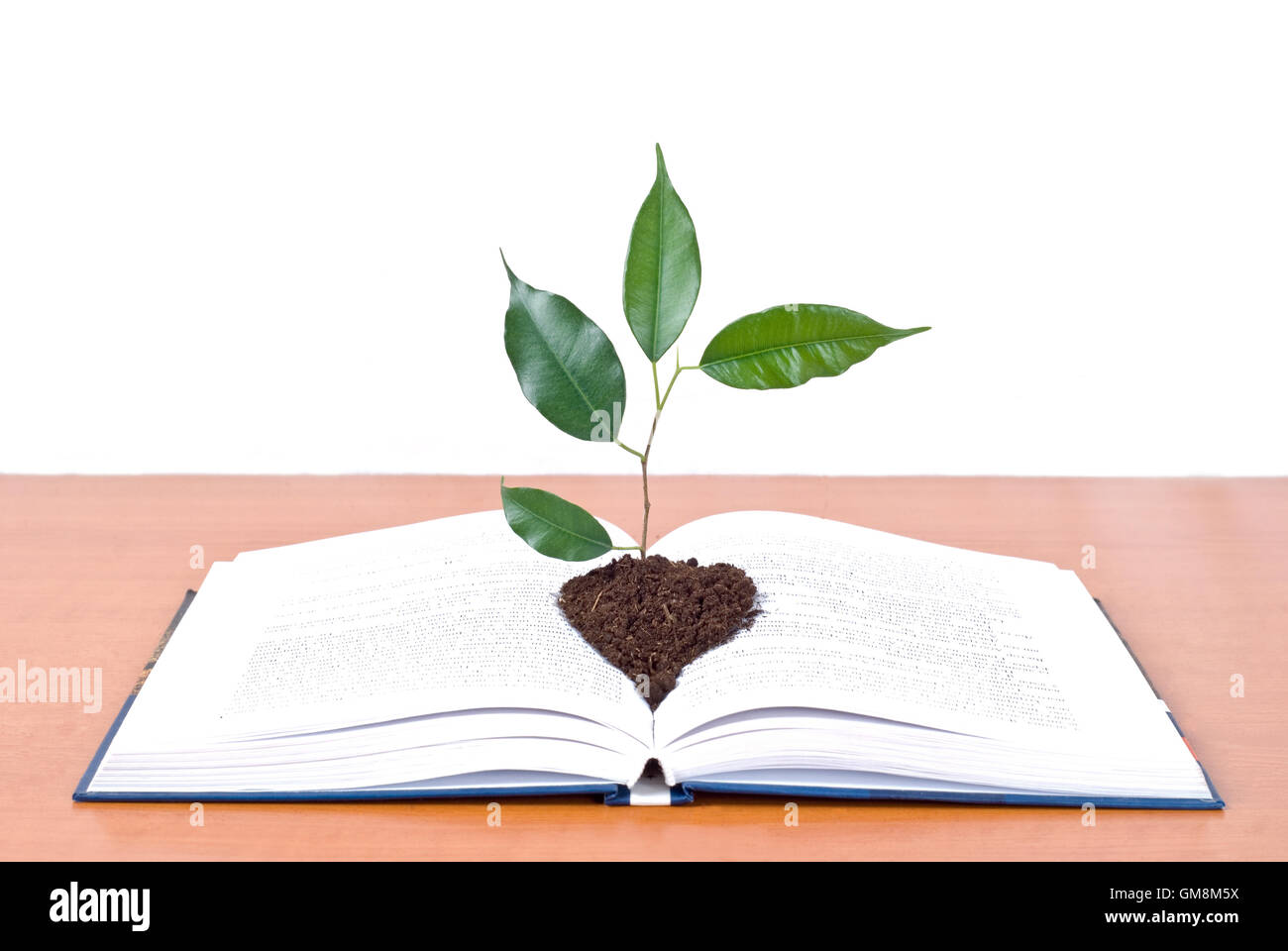 Book and tree isolated on white background Stock Photo - Alamy