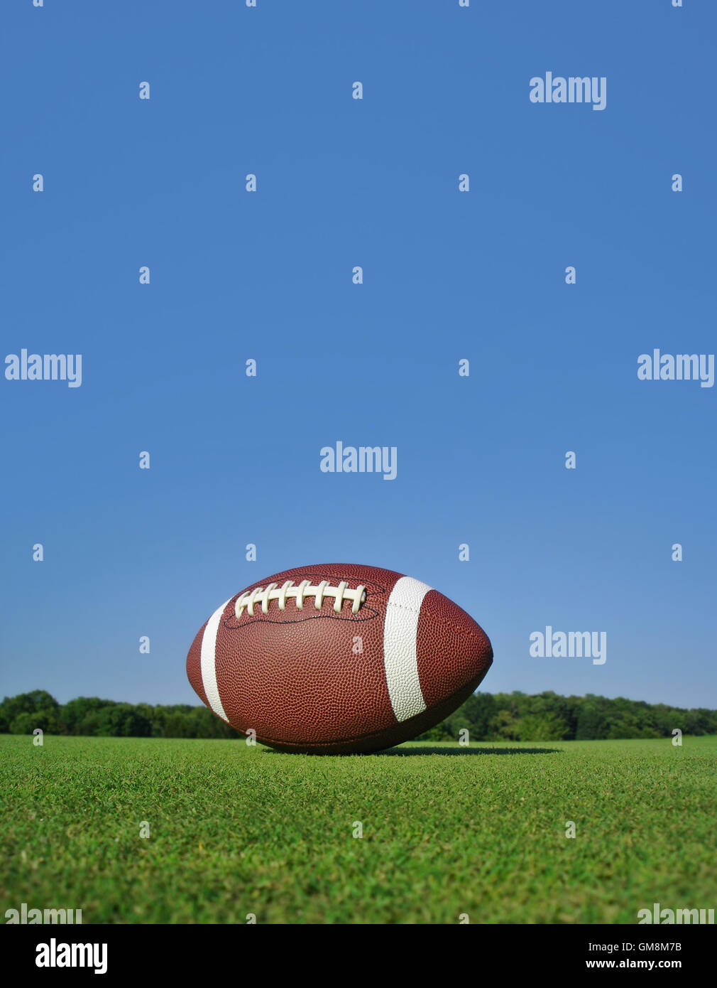 Portrait View Football on Field Stock Photo - Alamy