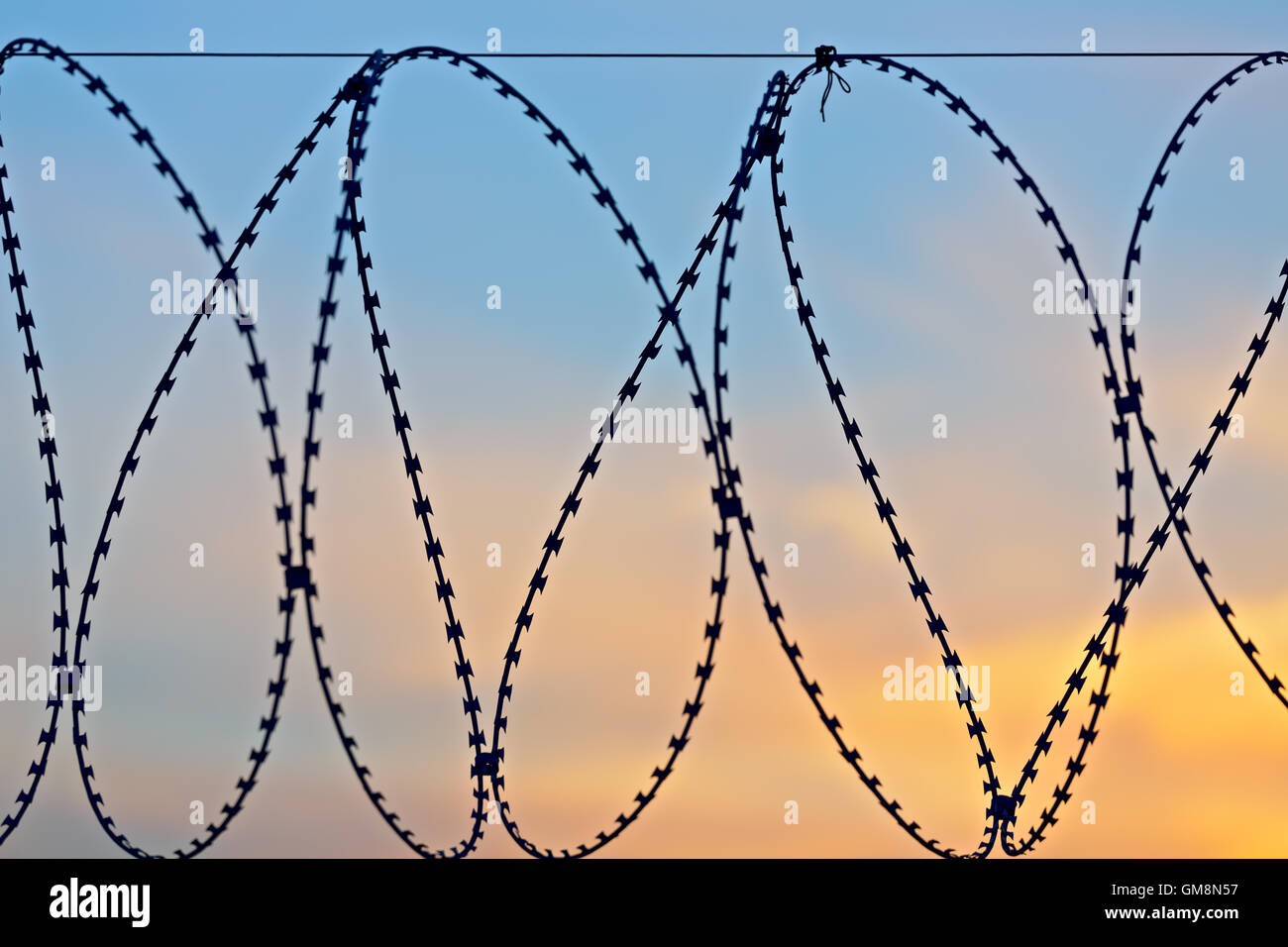 Barbed wire a sunset Stock Photo - Alamy