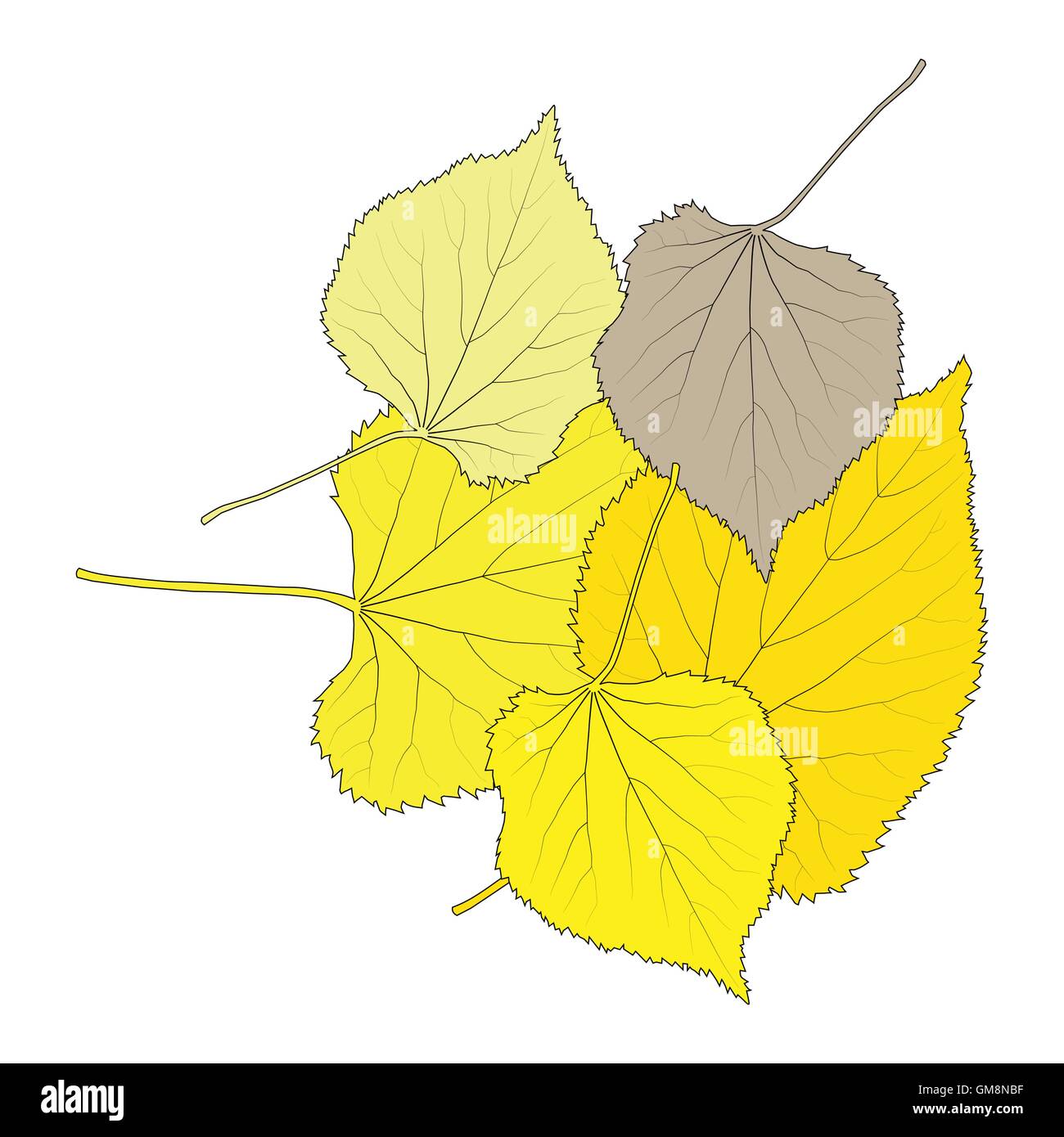 Weak branch Stock Vector Images - Alamy