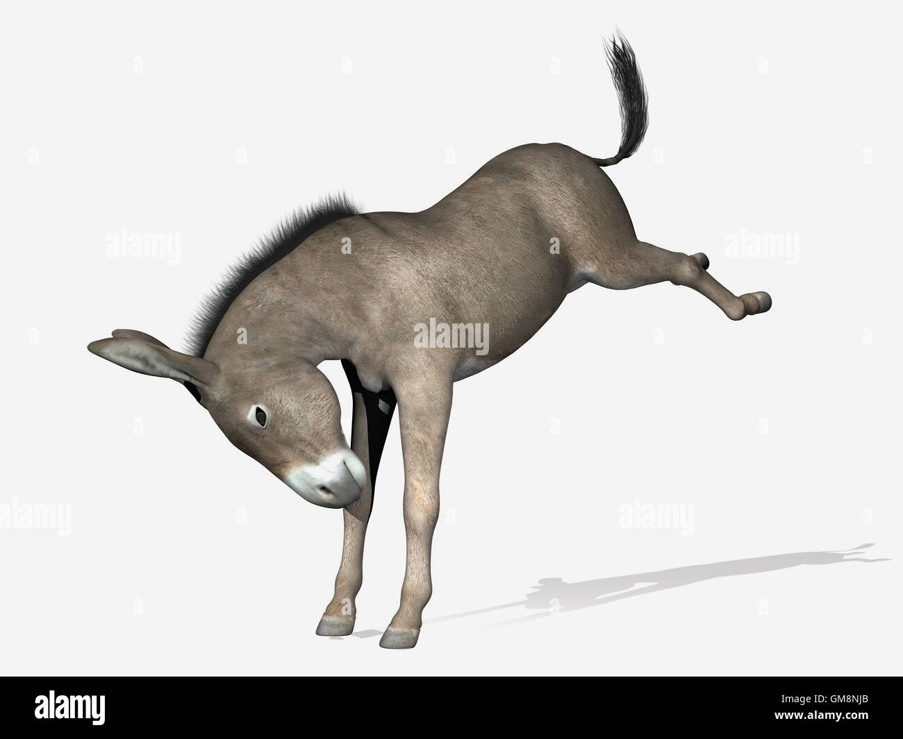 Donkey rearing - 3D render Stock Photo - Alamy
