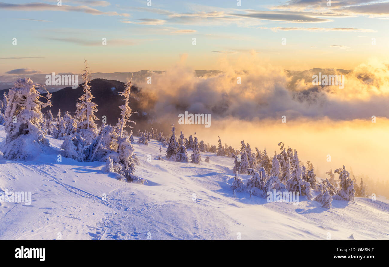 Fantastic winter landscape. Dramatic overcast sky Stock Photo - Alamy