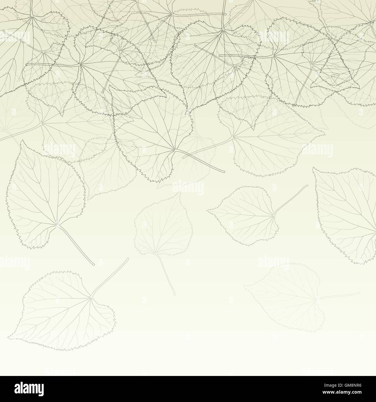 Leaves transparent background vintage illustration abstract vector with ...