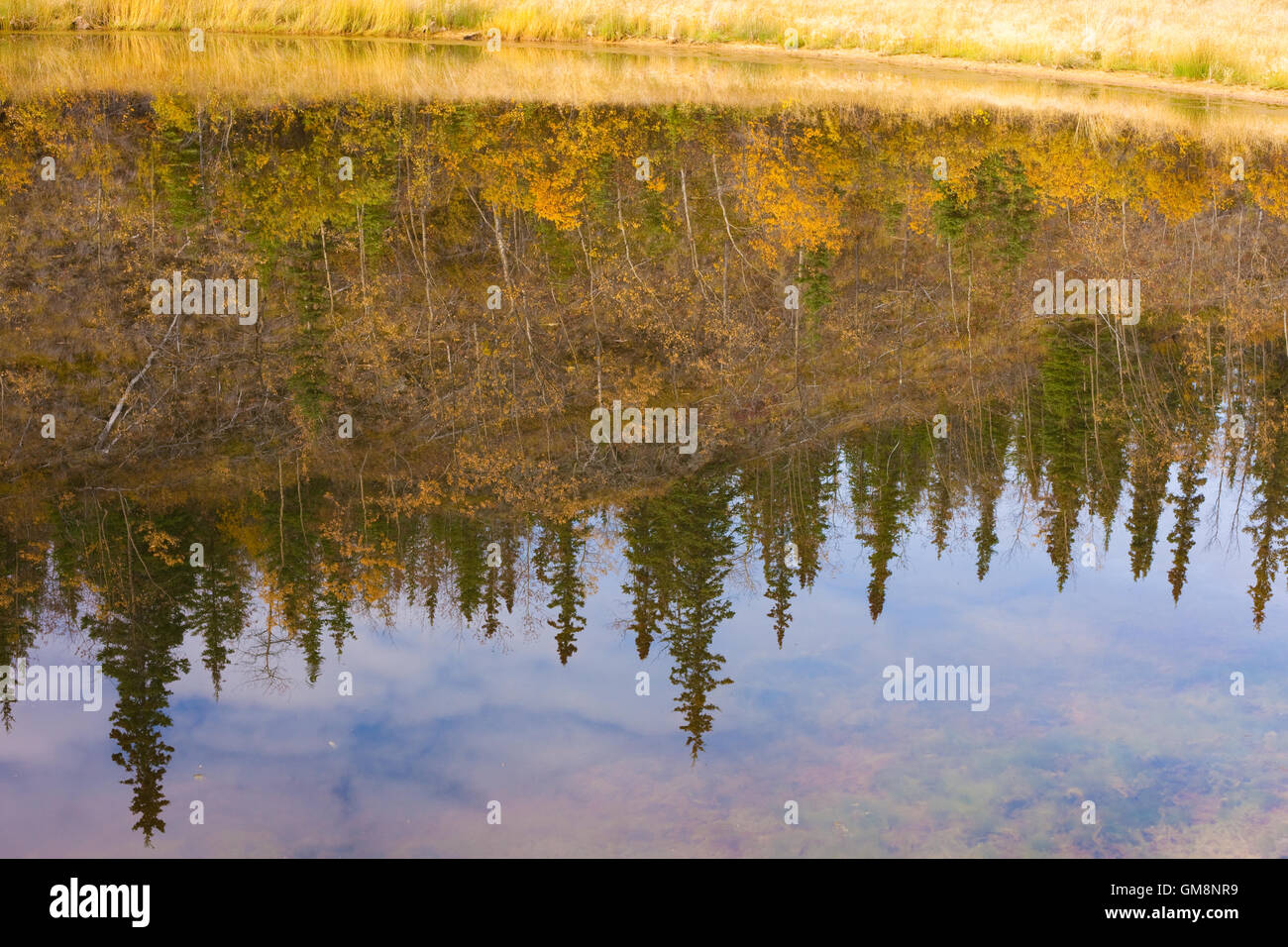 Fall in Yukon Territory, Canada, reflections on water surface Stock ...