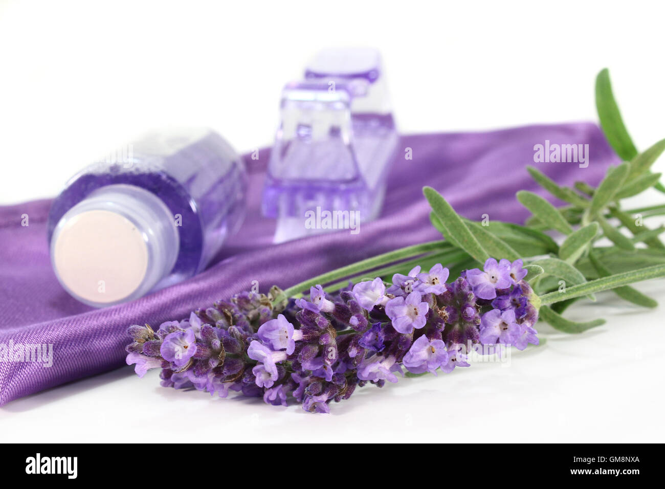 Lavender fragrant flowers hi-res stock photography and images - Alamy