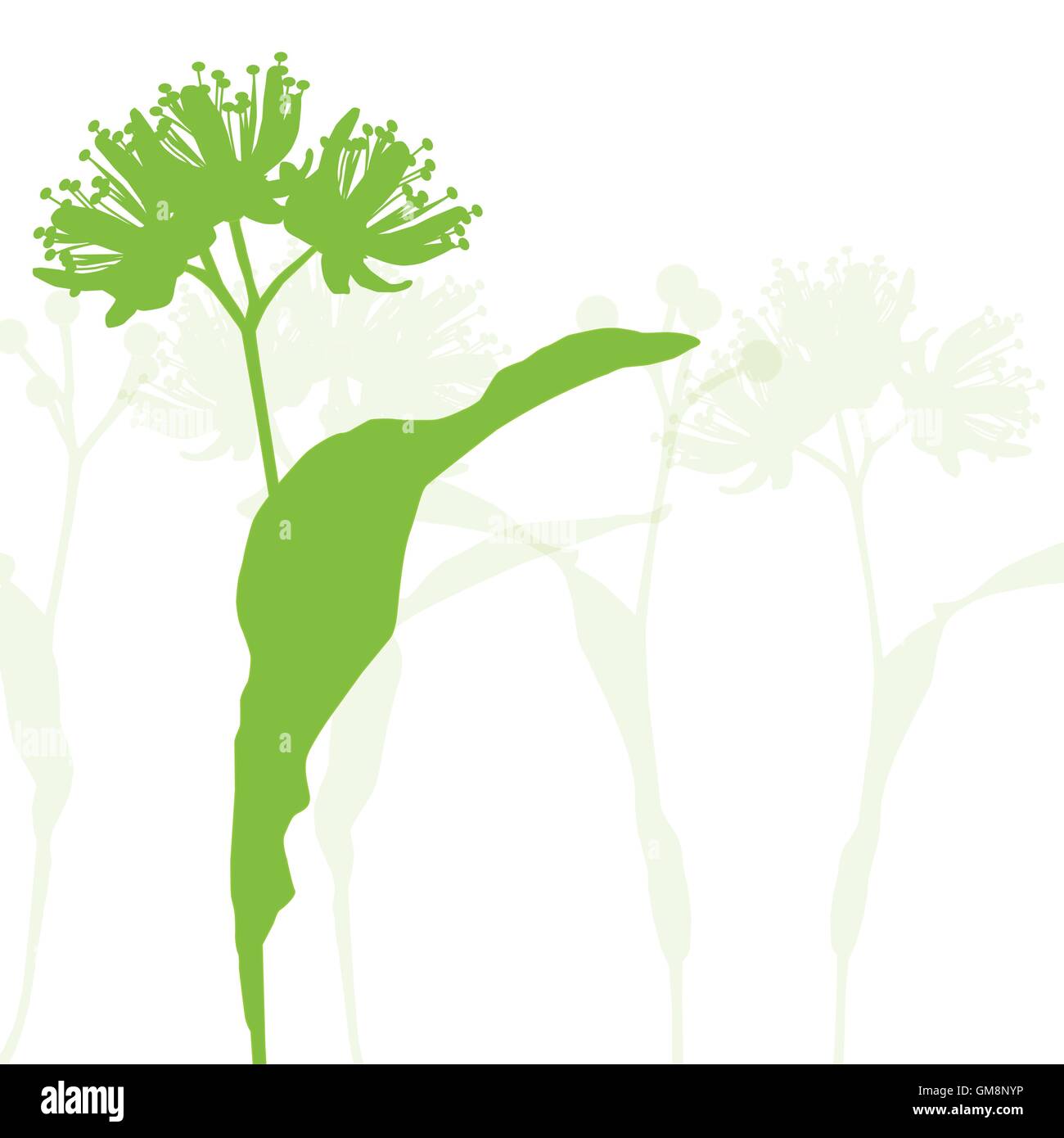 Linden flowers ecology background vector abstract illustration Stock ...