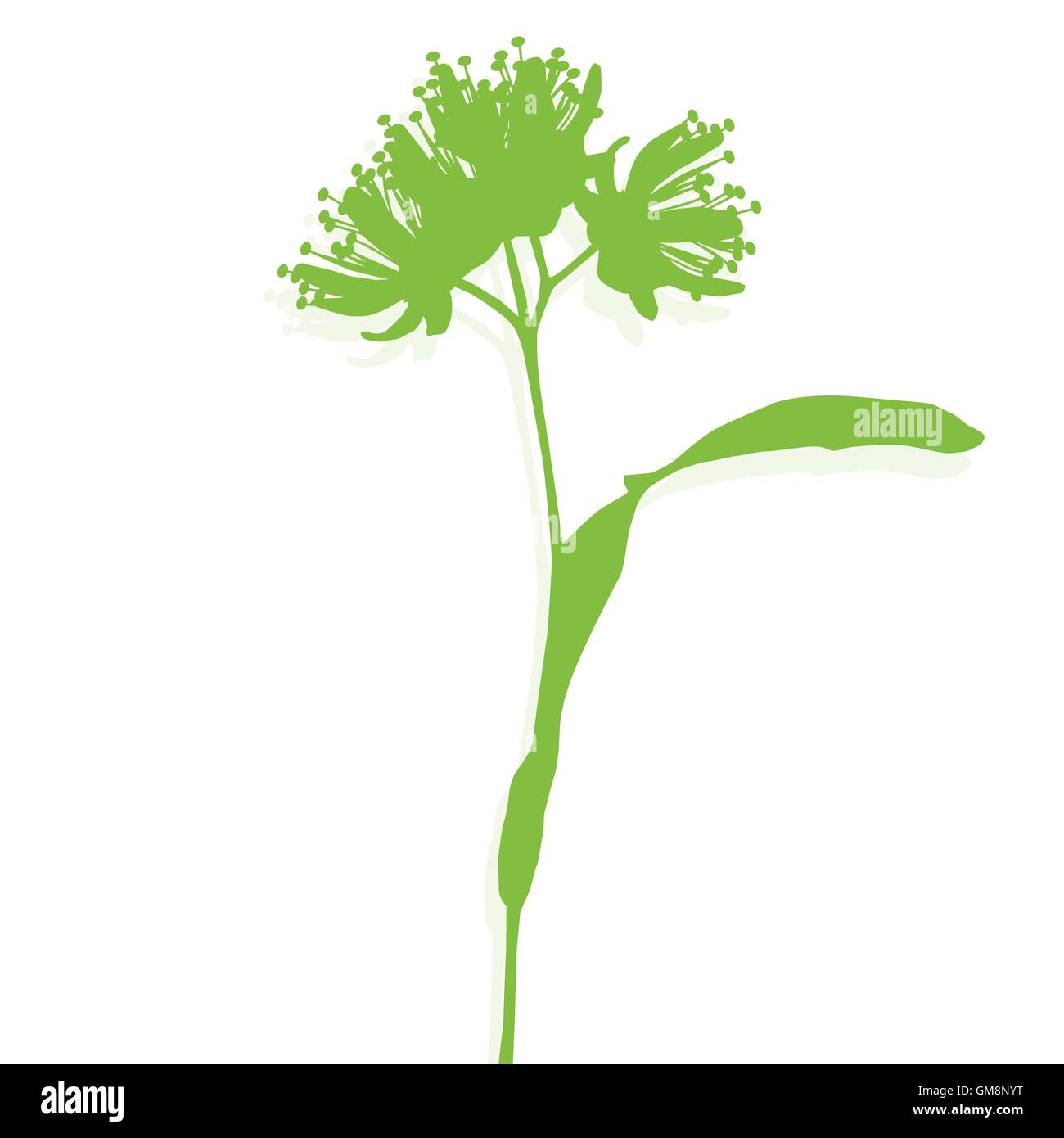 Linden flowers ecology background vector abstract illustration Stock ...