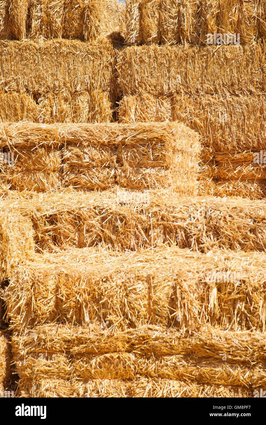 Vertical Stack of Hay Bailes Stock Photo - Alamy